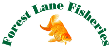 Forest Lane Fishery