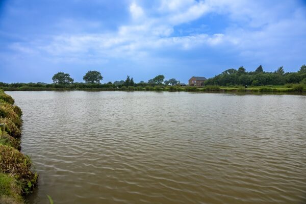 The Vale – Forest Lane Fishery